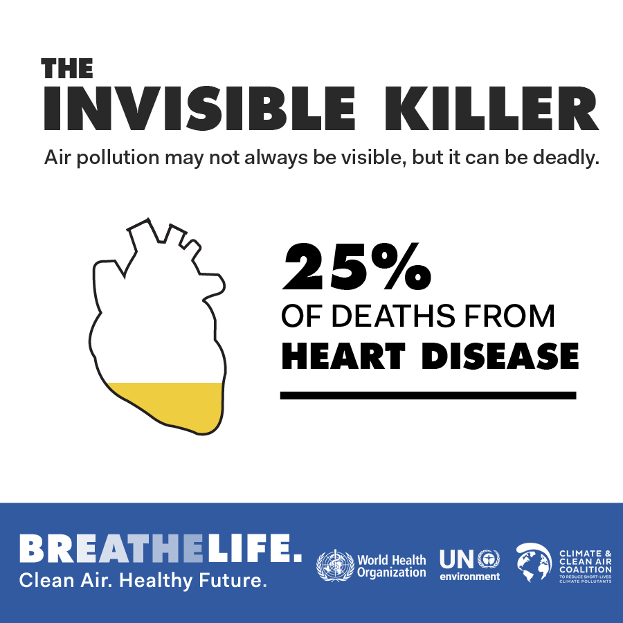 Air pollution and cardiovascular disease: a window of opportunity ...